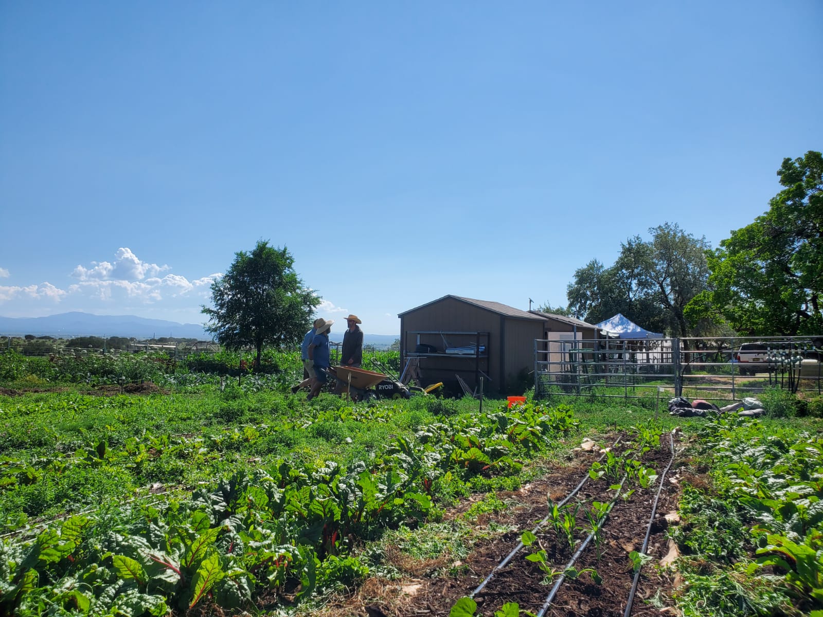 Call for Agroecology Projects - Synergia Ranch