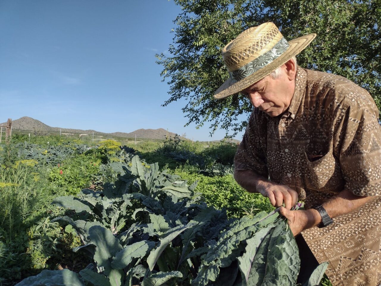 Accommodations - Synergia Ranch