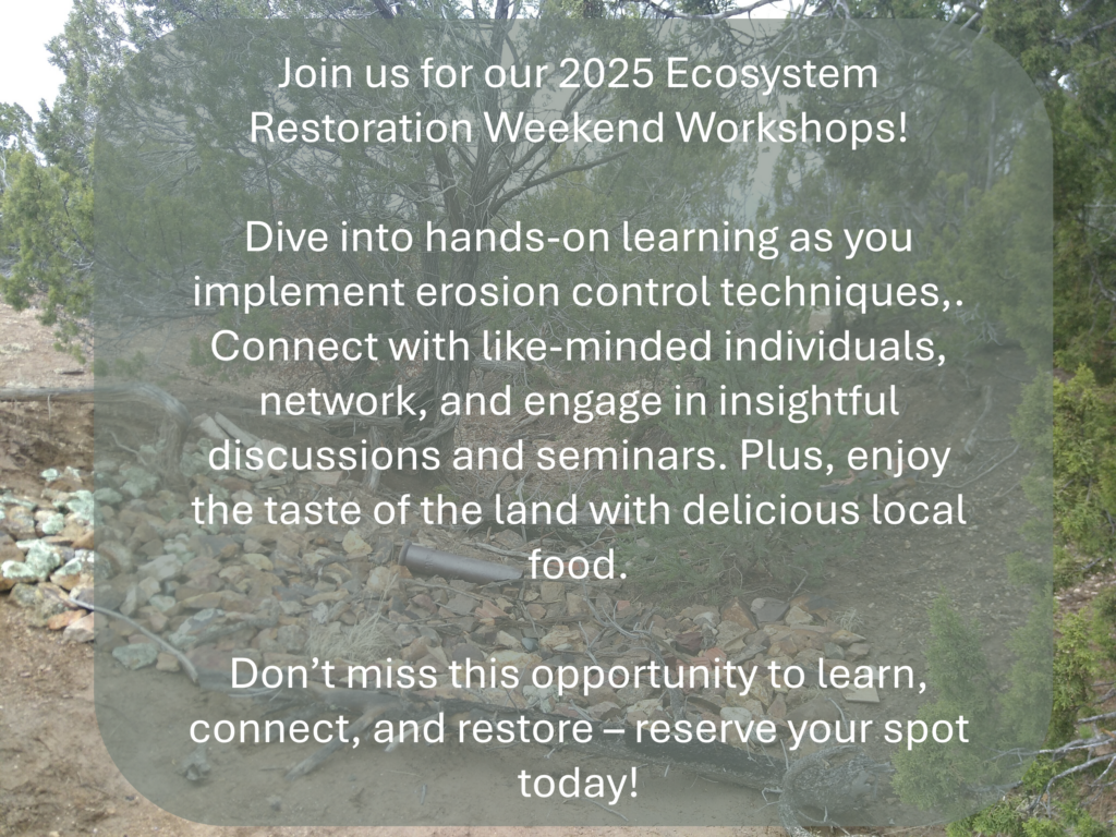 About Us - Synergia Ranch