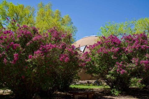 Synergia Ranch - Synergia Ranch